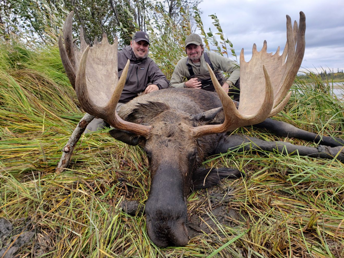 Guided Alaska Moose Hunt | Huge Alaska Trophy Moose 2021