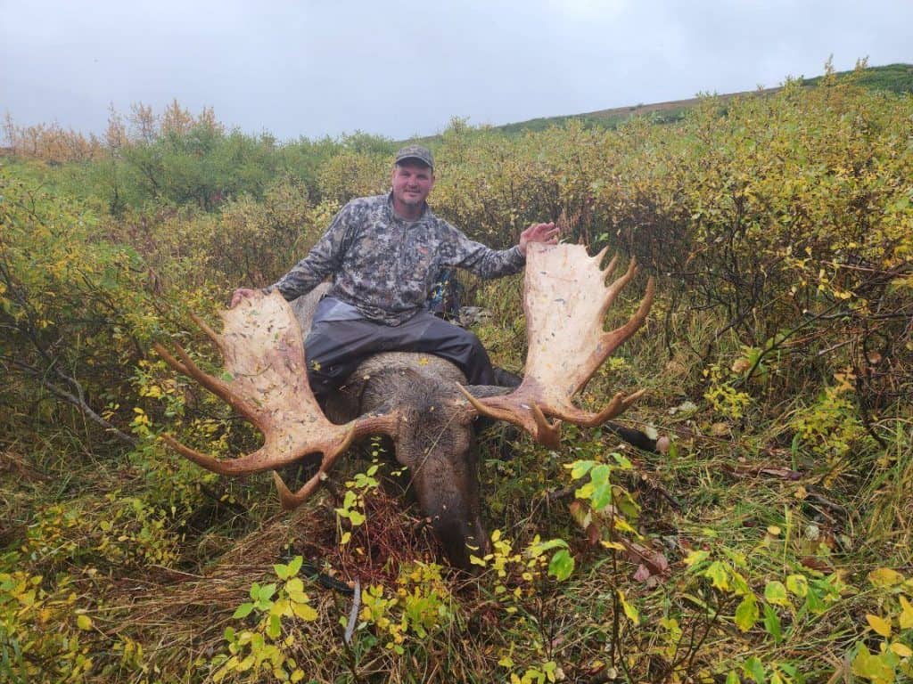 Guided Alaska Moose Hunt | Huge Alaska Trophy Moose 2021
